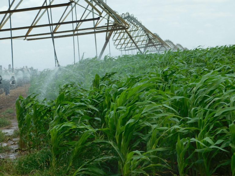 Unmasking New Company Running Multi-Billion Galana Kulalu Food Project