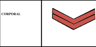 Everything You Need to Know about Kenya Police Ranks - Business Today Kenya