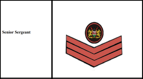 Everything You Need to Know about Kenya Police Ranks - Business Today Kenya