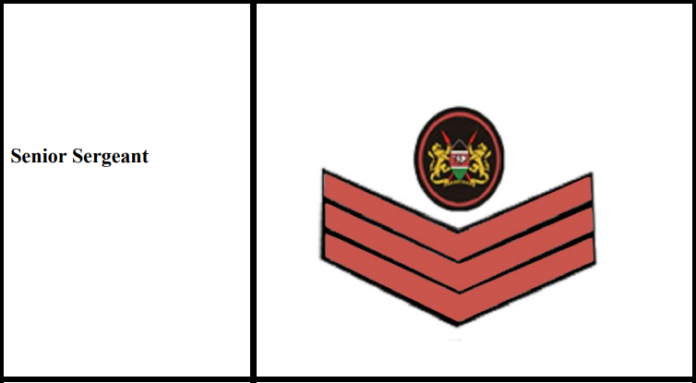 Everything You Need to Know about Kenya Police Ranks - Business Today Kenya