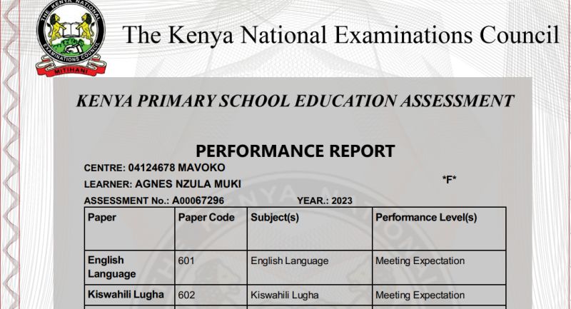KNEC Has Released 2024 KPSEA Results. What to Understand About the ...