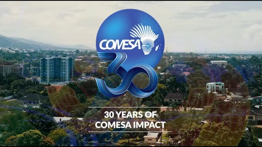 Quick Facts You Need to Know About COMESA